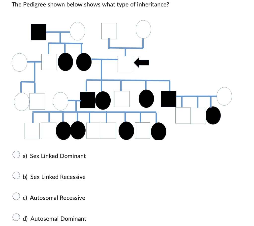 Solved The Pedigree shown below shows what type of | Chegg.com