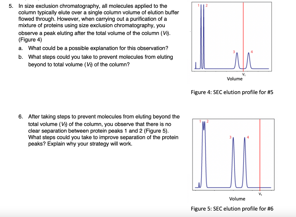 Solved 5. In size exclusion chromatography, all molecules | Chegg.com