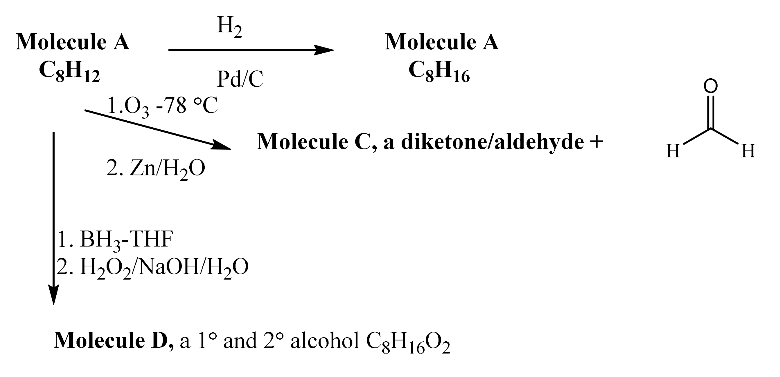 Solved Molecule A (C8H12) is a conjugated diene and it | Chegg.com