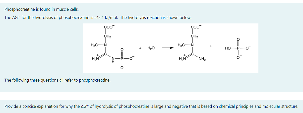 Solved Phosphocreatine is found in muscle cells. The AG' for | Chegg.com