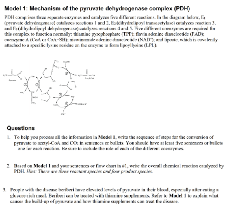 Solved Model 1: Mechanism of the pyruvate dehydrogenase | Chegg.com