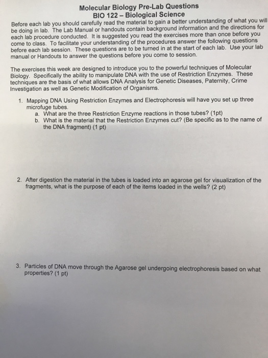 Solved Molecular Biology Pre-Lab Questions BIO | Chegg.com