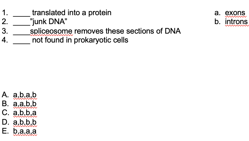 Solved 1. translated into a protein 2. — "junk DNA" a. exons | Chegg.com