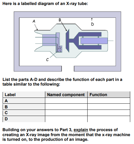 X Ray Machine Parts Function