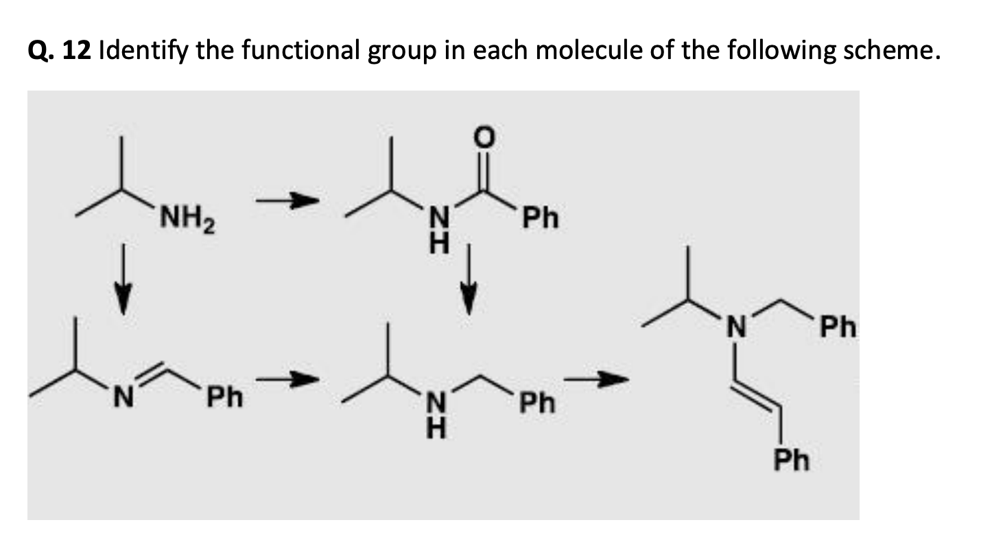 Solved Q. 12 Identify the functional group in each molecule | Chegg.com
