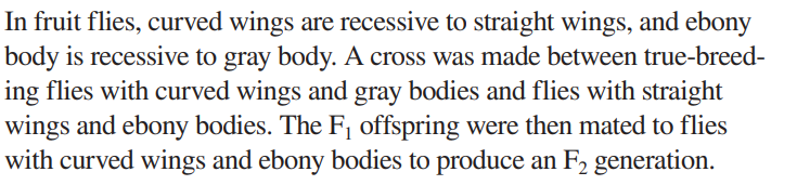 Solved In fruit flies, curved wings are recessive to | Chegg.com