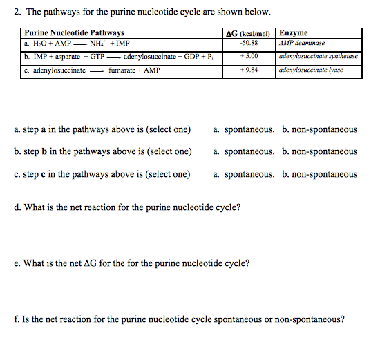 Solved 2. The pathways for the purine nucleotide cycle are | Chegg.com