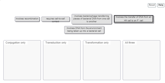 Solved involves bacteriophage transferringrequires | Chegg.com