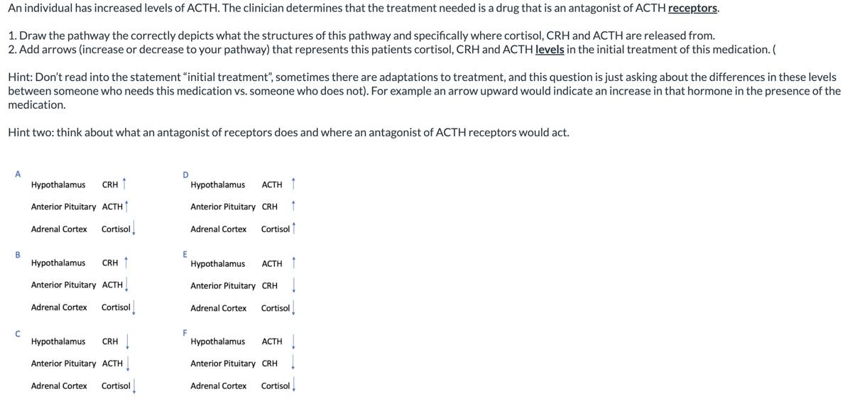Solved An individual has increased levels of ACTH. The | Chegg.com