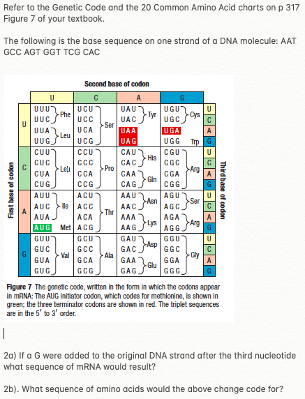 Solved Refer to the Genetic Code and the 20 Common Amino | Chegg.com