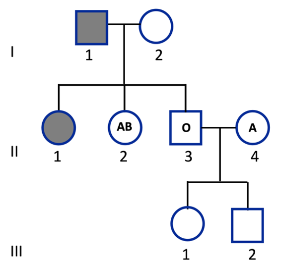 Solved Alleles and their associated traits can be tracked | Chegg.com
