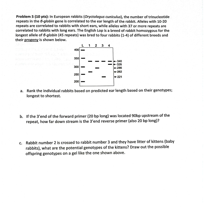 Solved Problem 5 (10 pts): In European rabbits (Oryctolagus | Chegg.com