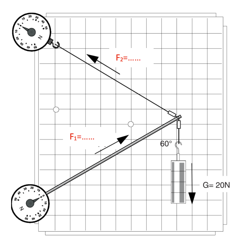 Solved What is the reading on each dynamometer? Find | Chegg.com