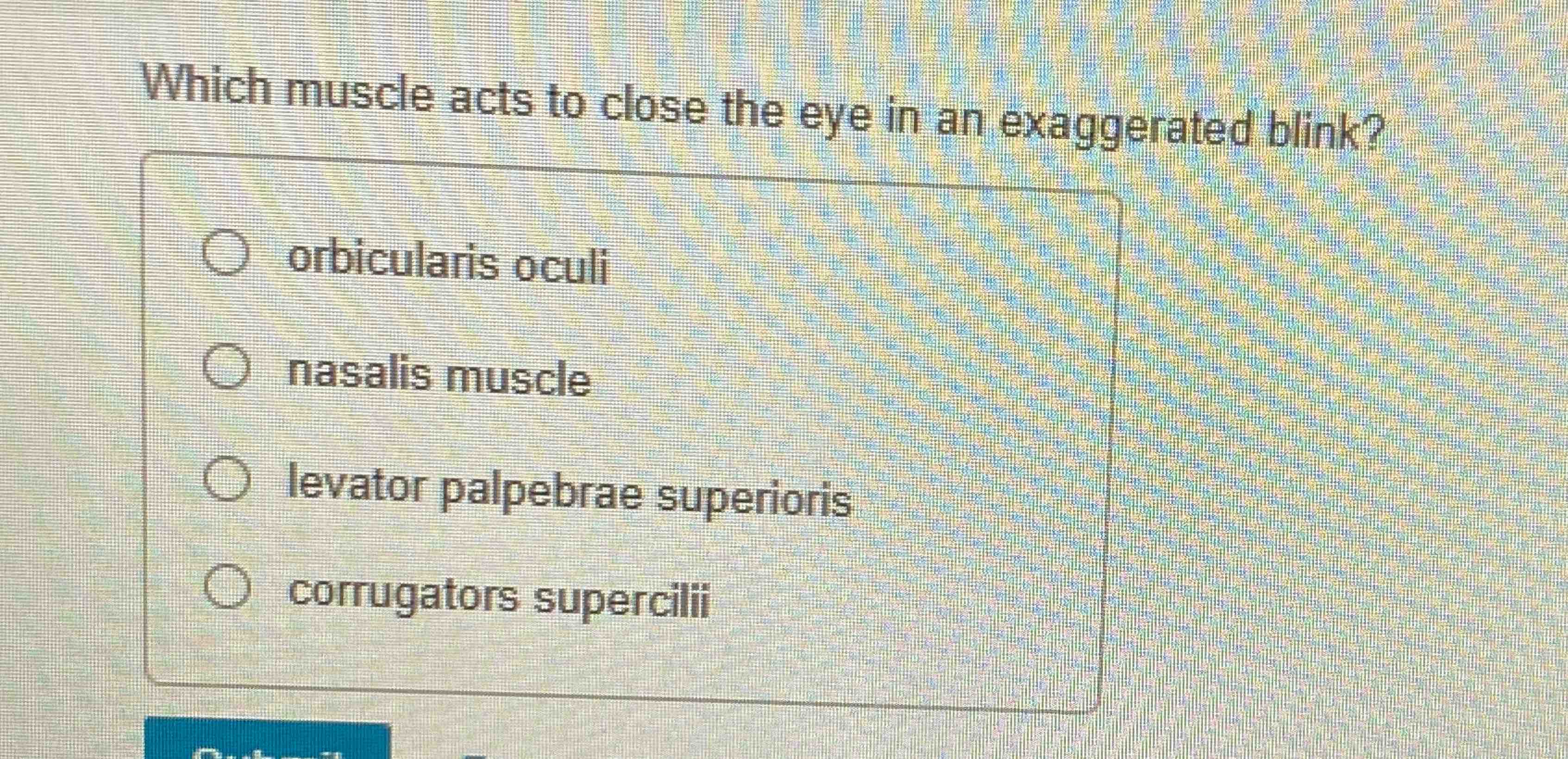 Solved Which muscle acts to close the eye in an exaggerated | Chegg.com