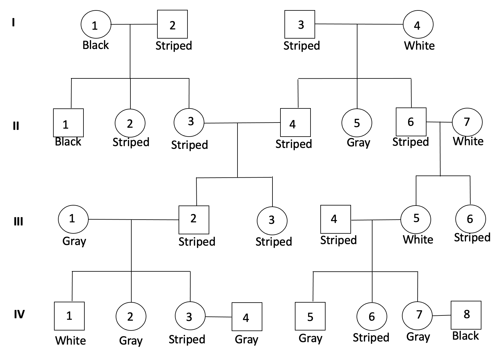 Solved There is a species of rodent, which lives in a | Chegg.com