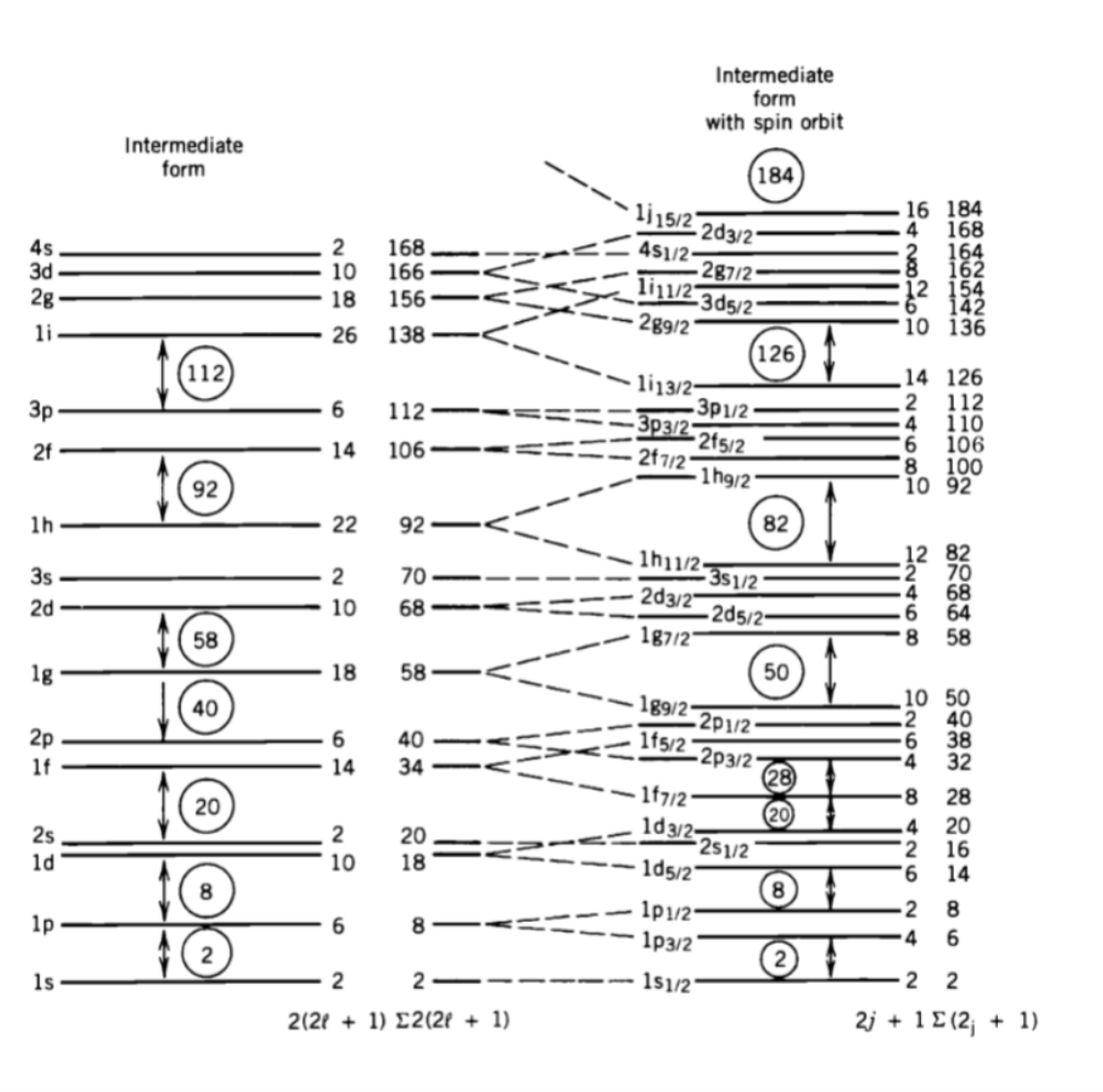 Solved Give the expected shell model spin and parity | Chegg.com