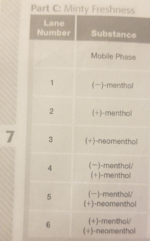 Solved What is the relationship between (+)-neomenthol and | Chegg.com