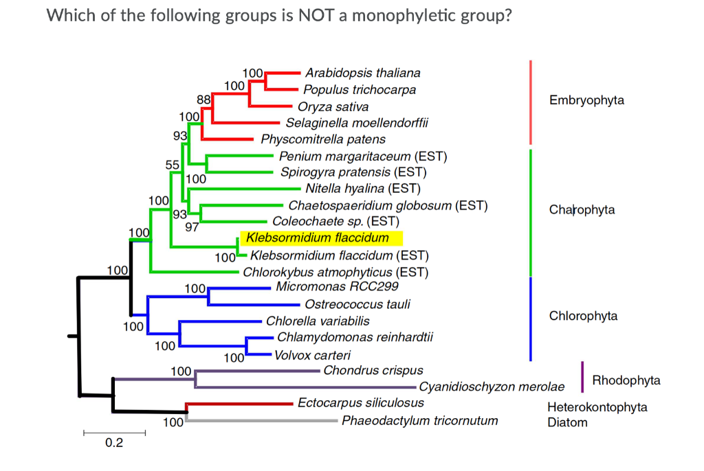 Solved Which of the following groups is NOT a monophyletic | Chegg.com