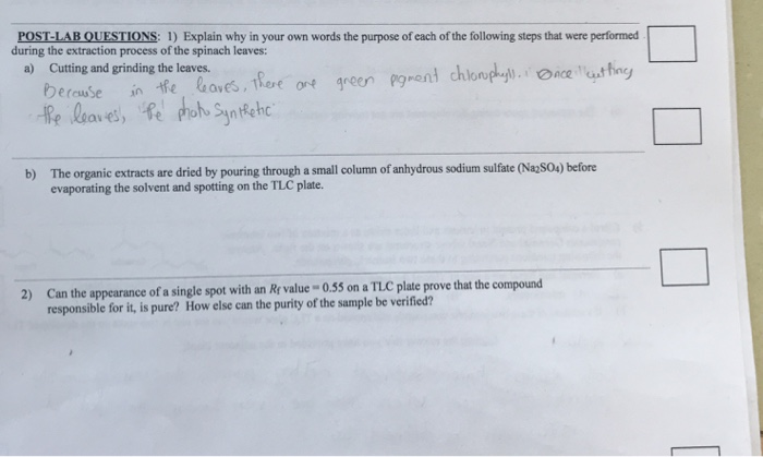 3) Two students performed the extraction of spinach | Chegg.com
