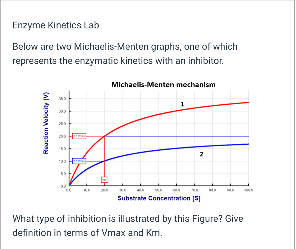 Solved Enzyme Kinetics Lab Below are two Michaelis-Menten | Chegg.com