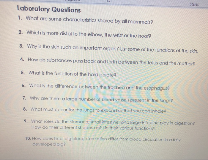 Solved Styles Laboratory Questions 1. What are some | Chegg.com