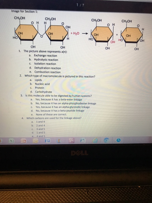 Solved Image for Section 1: CH2OH O H H CH2OH 0 OH HO OH OH | Chegg.com