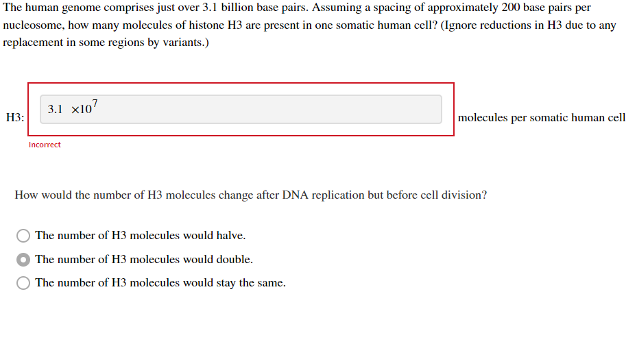 Solved The human genome comprises just over 3.1 billion base | Chegg.com