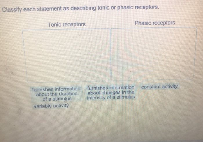 Solved Classify each statement as describing tonic or phasic | Chegg.com