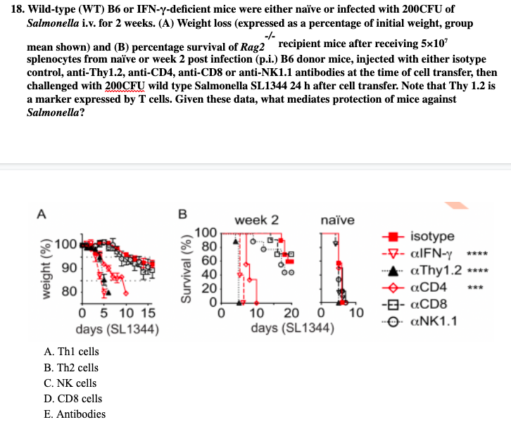 18 Wild Type Wt B6 Or Ifn γ Deficient Mice Were