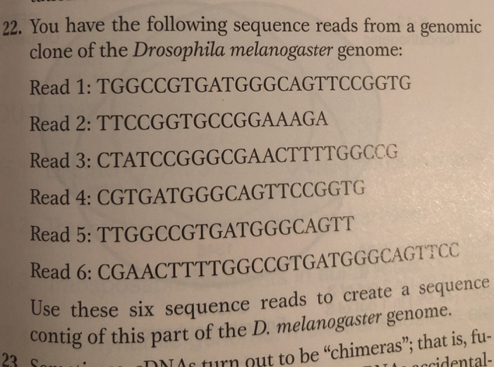 Solved 22. You have the following sequence reads from a | Chegg.com