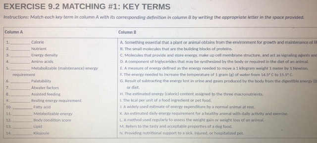 Solved EXERCISE 9.2 MATCHING #1: KEY TERMS Instructions: | Chegg.com