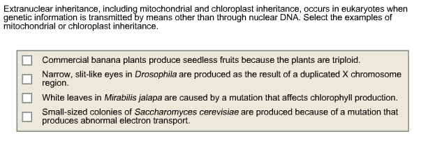 Solved Extranuclear inheritance, including mitochondrial and | Chegg.com