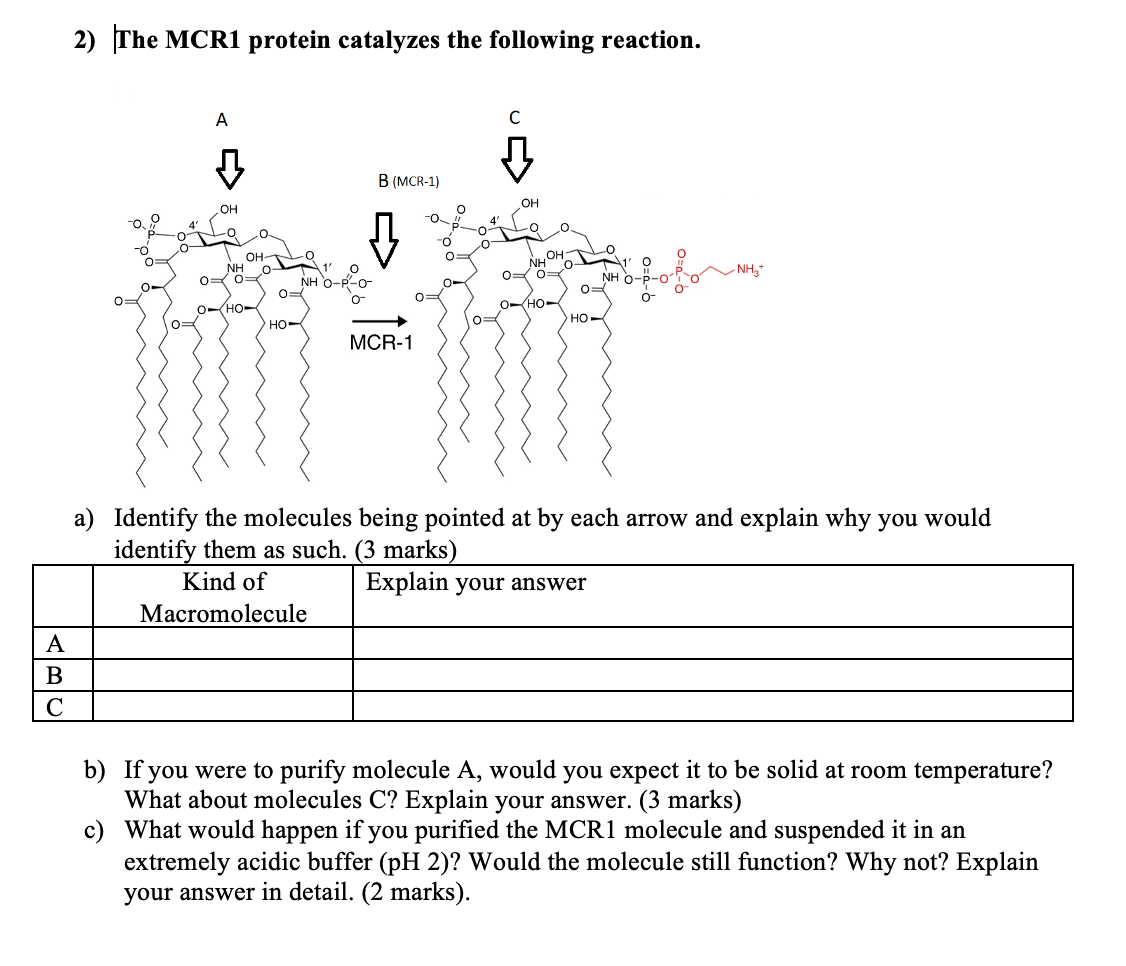 Solved 2) The MCR1 protein catalyzes the following reaction. | Chegg.com