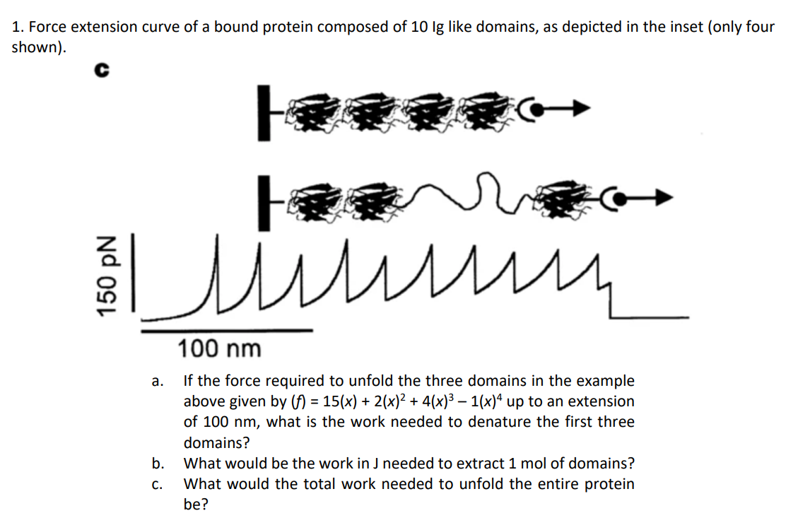 Solved 1. Force extension curve of a bound protein composed | Chegg.com