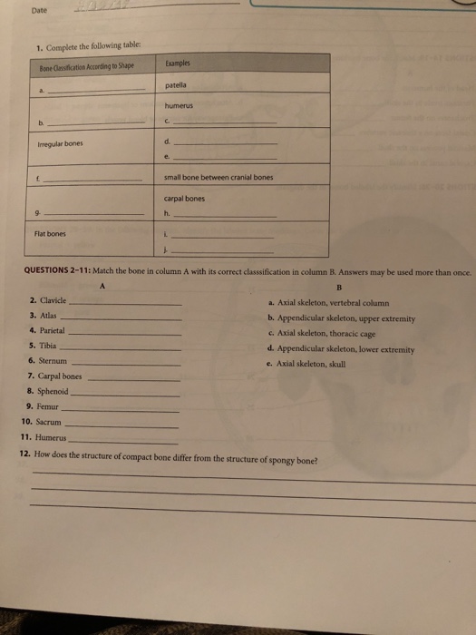 Solved Classifying Bones According to Location Bones can be | Chegg.com