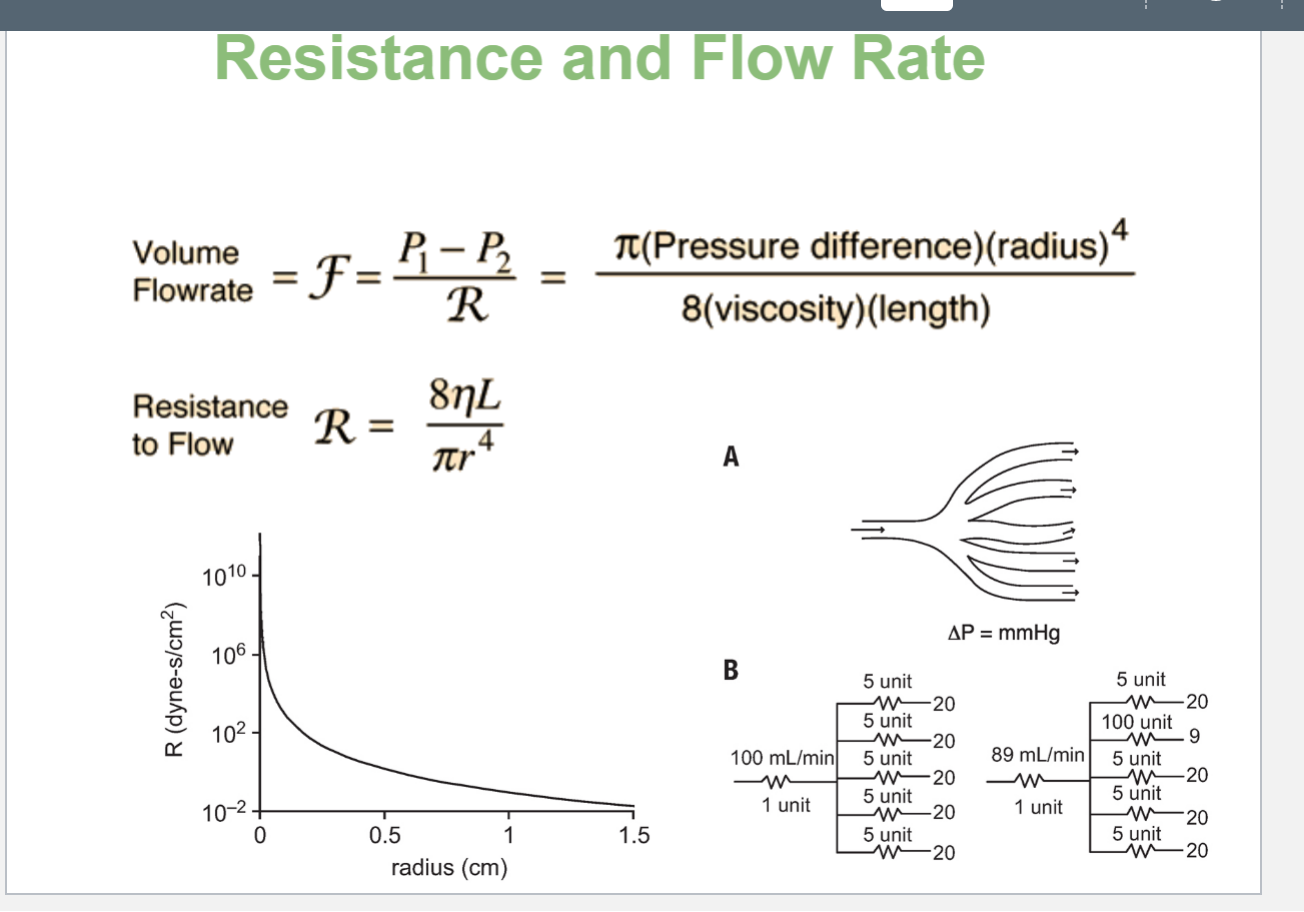 Calculate the blood flow rate change after one vessel | Chegg.com