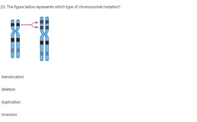 Solved 23. The figure below represents which type of | Chegg.com