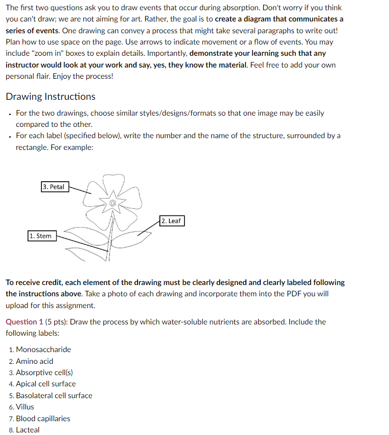 Solved The first two questions ask you to draw events that | Chegg.com