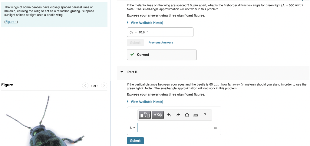 Solved The wings of some beetles have closely spaced | Chegg.com
