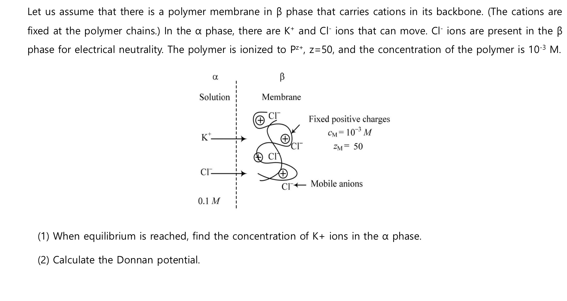 Solved Let us assume that there is a polymer membrane in β | Chegg.com