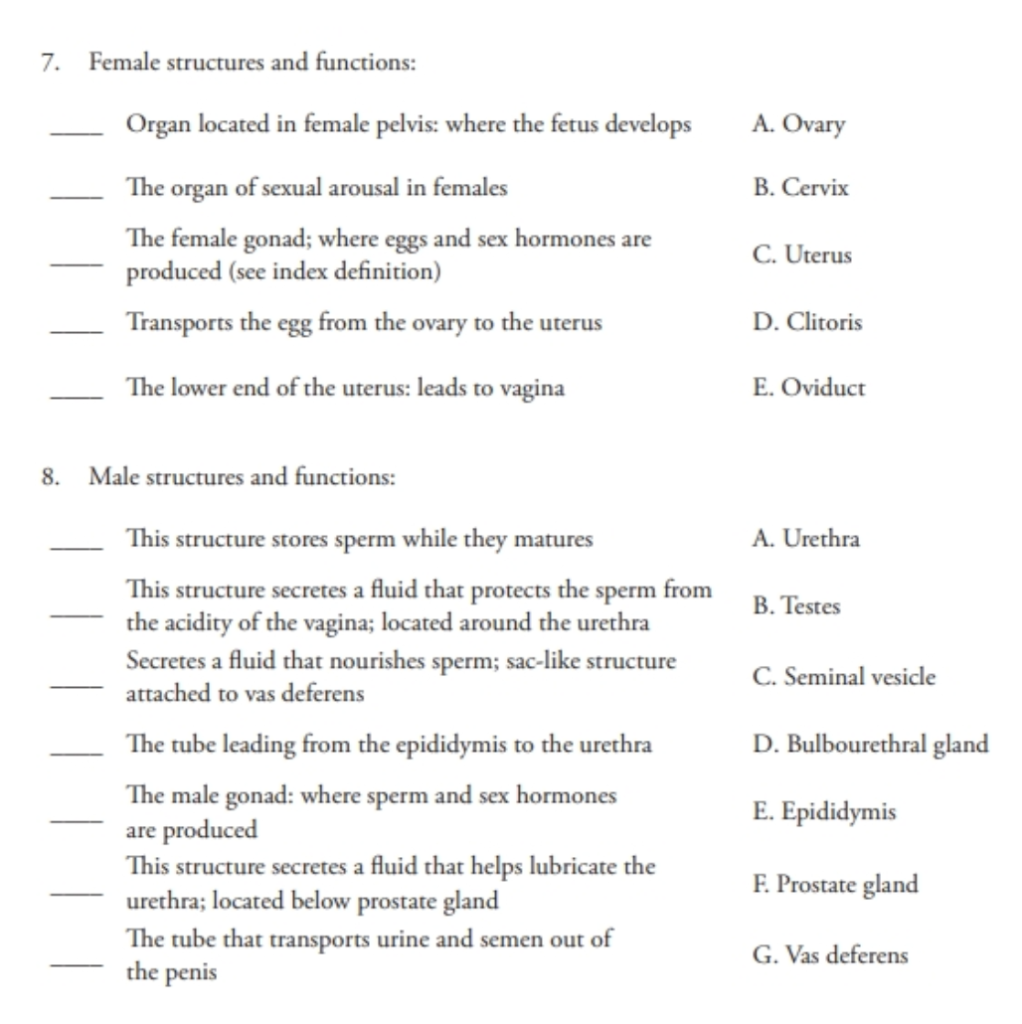 Solved 7. Female structures and functions: Organ located in | Chegg.com