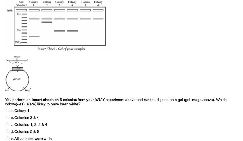 Solved QUESTION 7 You have identified the minimum tiling | Chegg.com