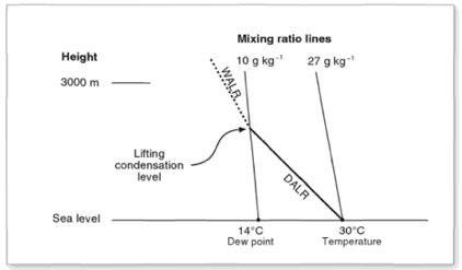 Solved In the previous example, the lifting condensation | Chegg.com