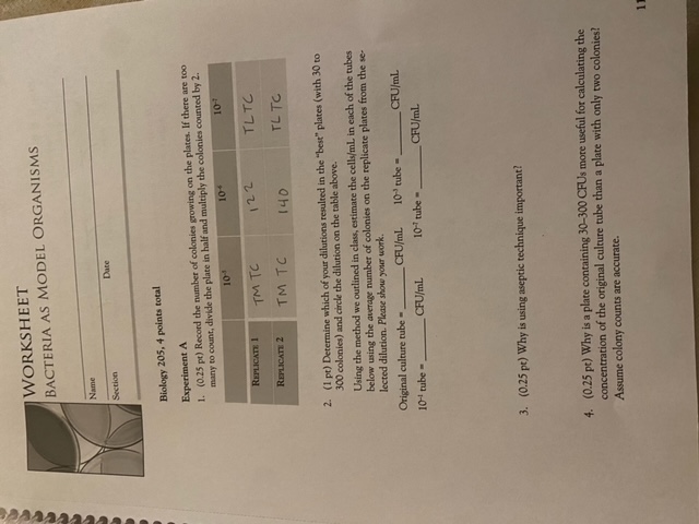 Solved I missed this lab and am really struggling to fill | Chegg.com