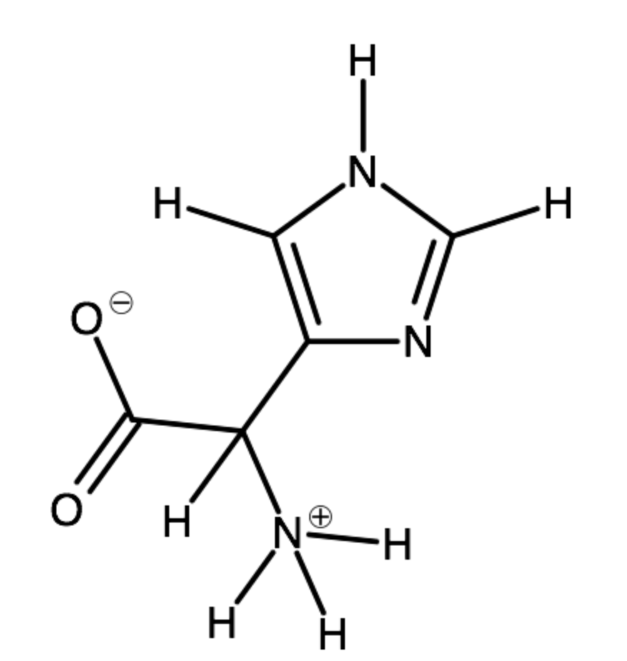 Solved Below is the amino acid histidine at pH 7. Select all | Chegg.com