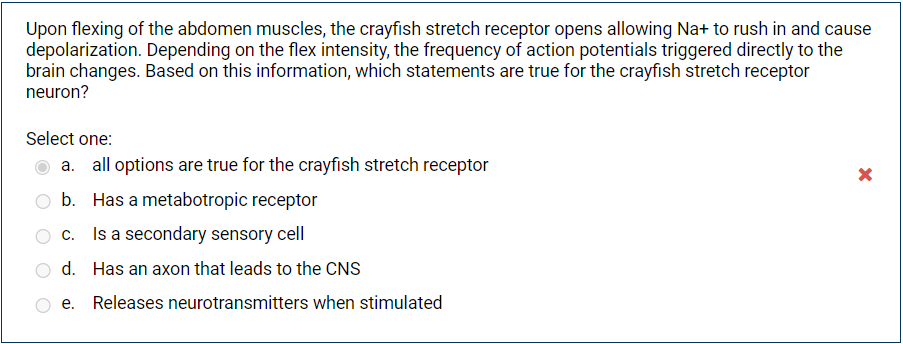 Solved Upon flexing of the abdomen muscles, the crayfish | Chegg.com