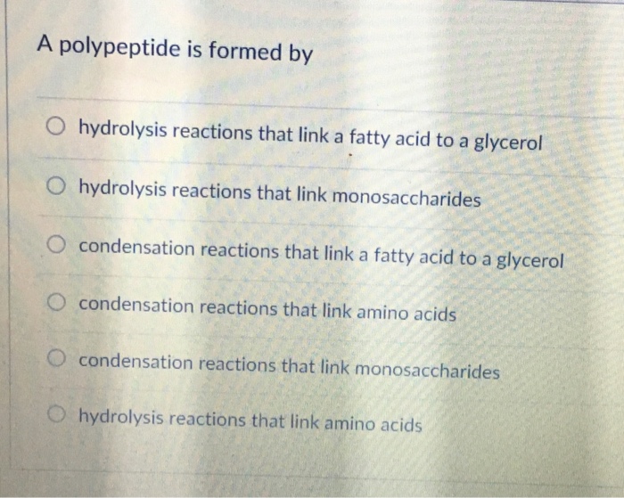 Solved A large carbohydrate is broken down into two smaller | Chegg.com