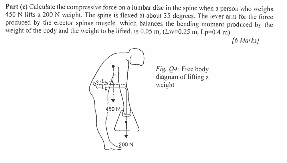 Solved Part (c) Calculate the compressive force on a lumbar | Chegg.com