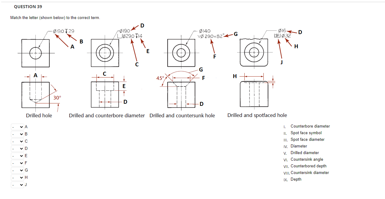 Solved Match the letter (shown below) to the correct term. | Chegg.com