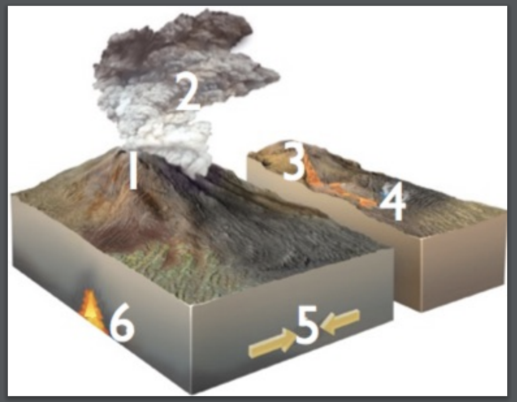 Solved Which of the following locations could form | Chegg.com